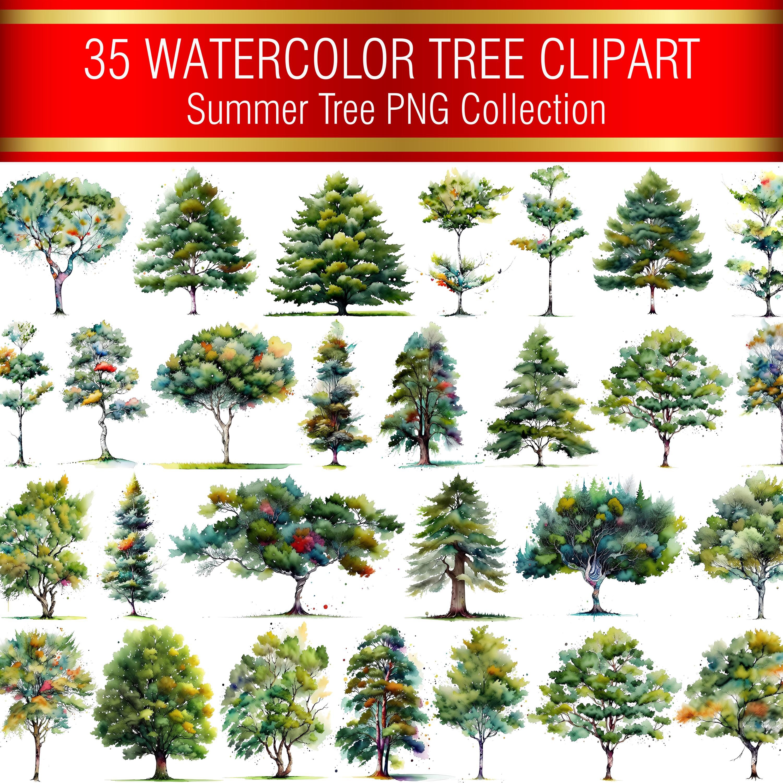 Watercolor Tree Clipart, 35 High Quality Pngs, Digital Download ...