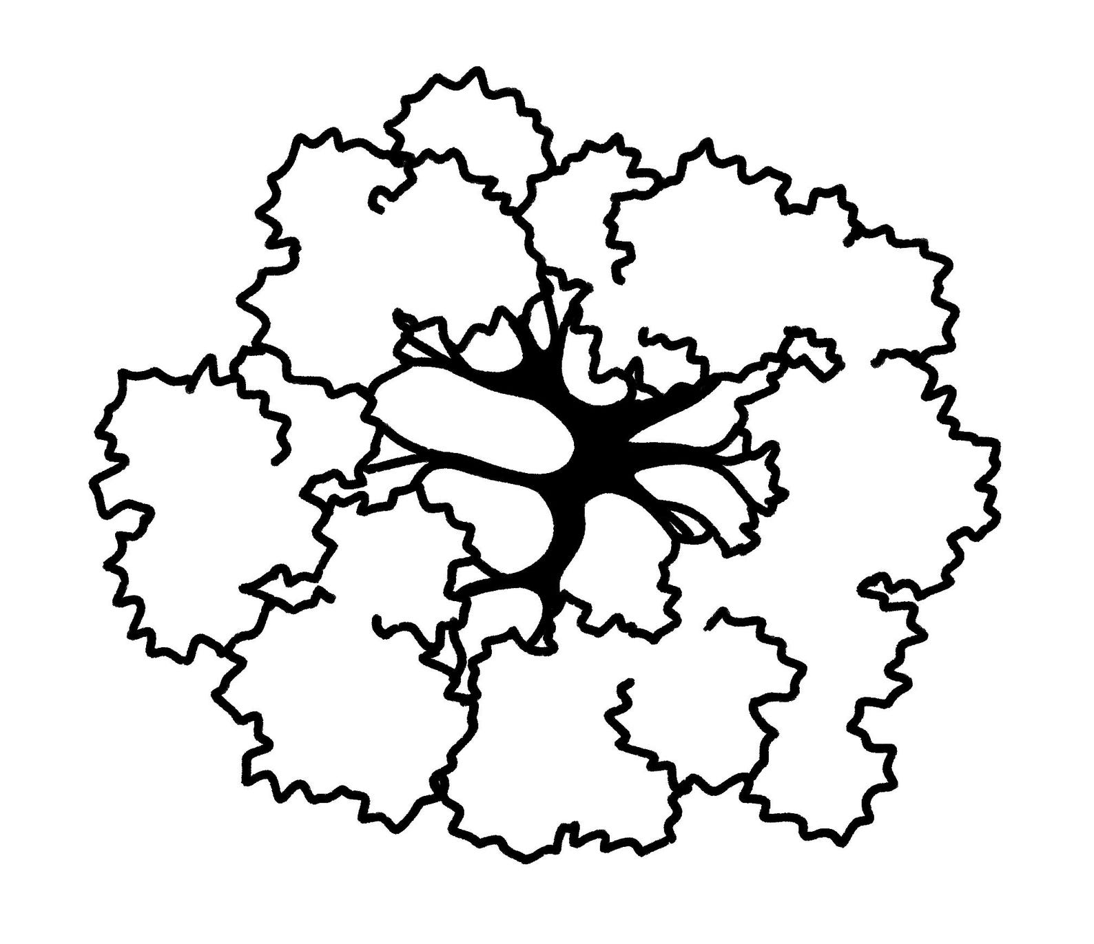 Tree Plan View PNG, Tree Top View Symbol, Tree Plan PNG Images ...