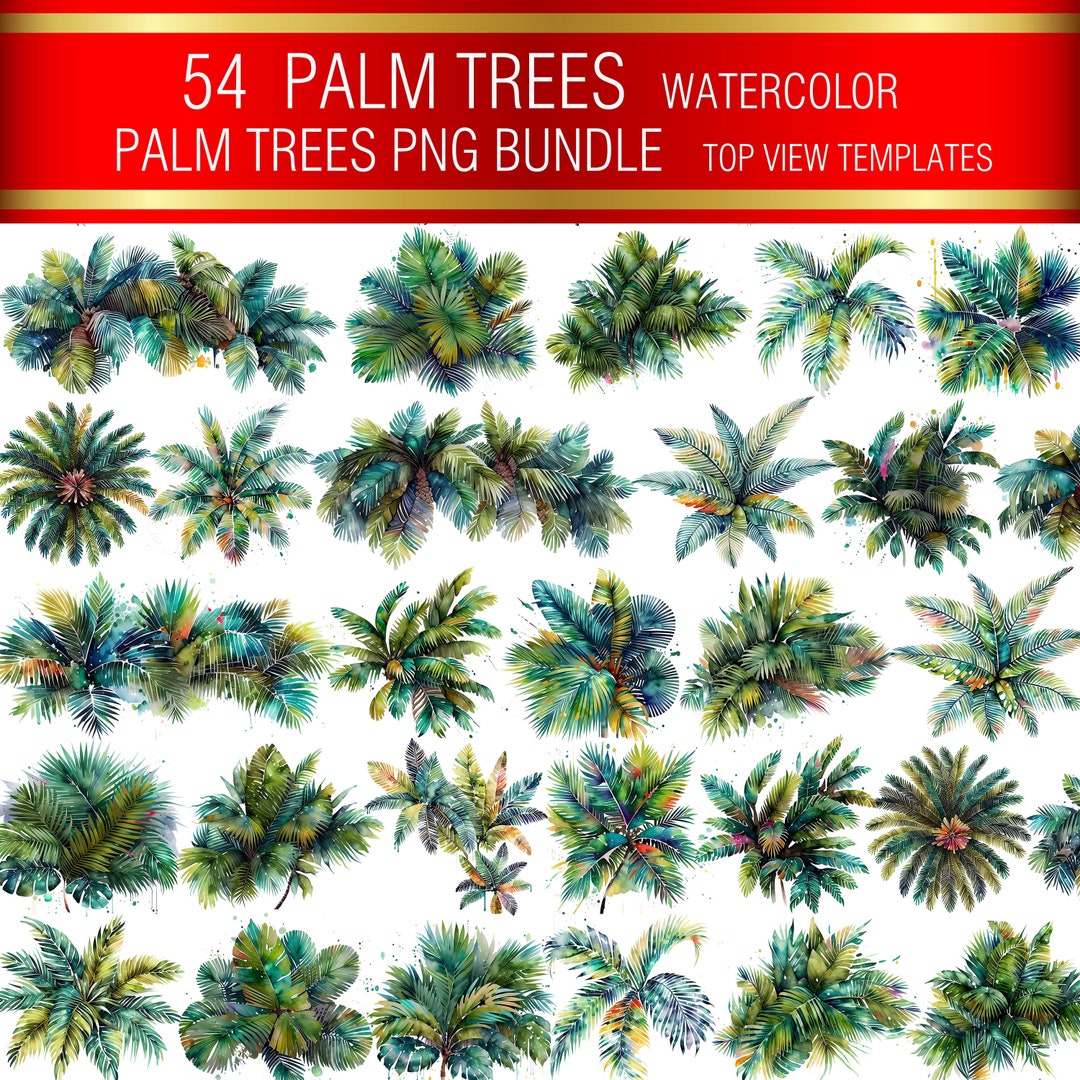 Palm Treetop Symbol, Palm Tree Watercolor PNG, Palm Tree Plan View ...