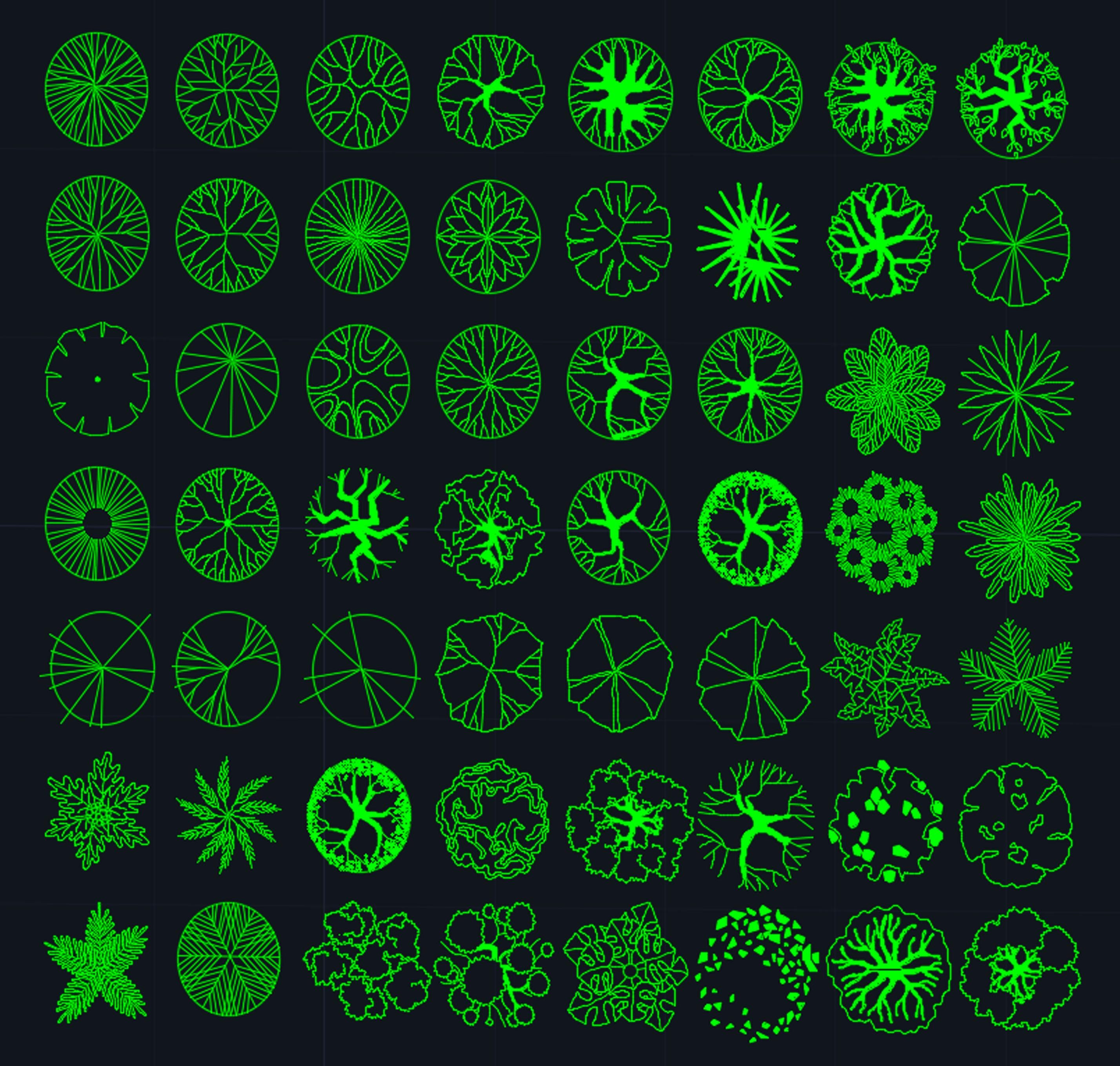 Tree Plan PNG Templates | Autocad Tree Plan DWG File | Landscape ...