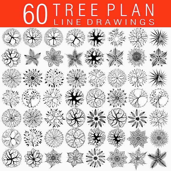 Landscape Architecture Plan Drawing Trees 19. Landscape Design | NC