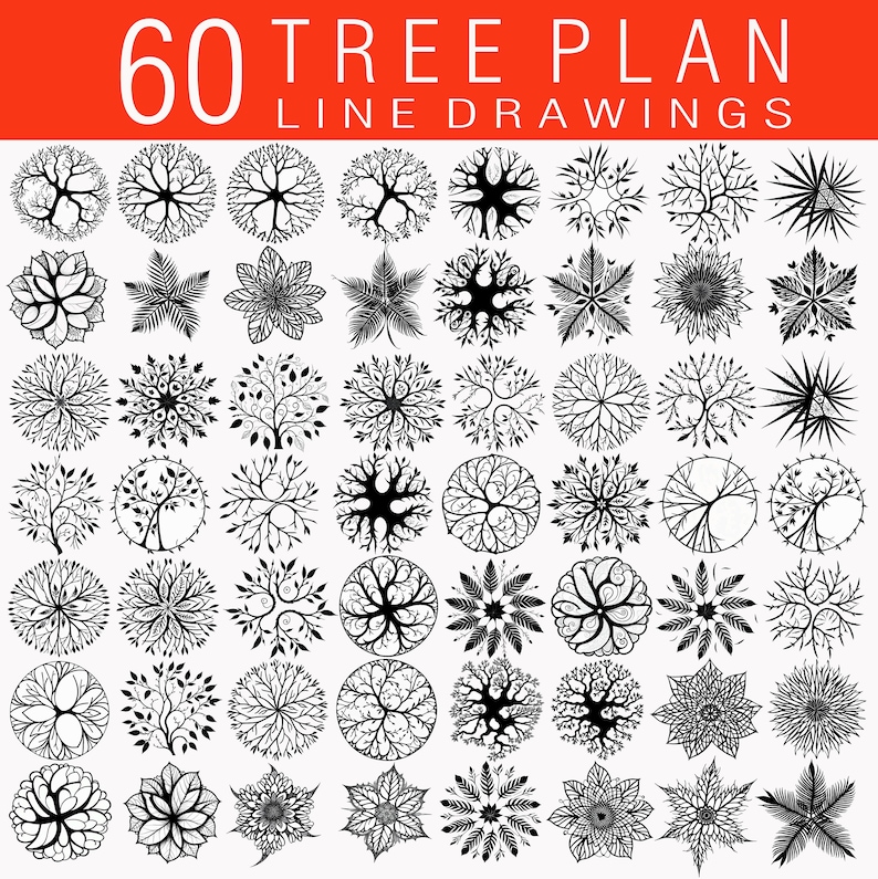 Landscape Tree Plan PNG, Tree Top View, Tree Plan Images, Tree Plan ...