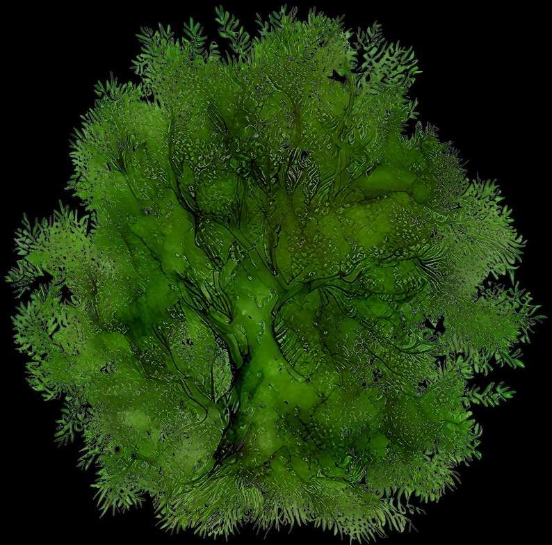 Tree Top View and Plan PNG Templates for Landscape Design | Digital ...