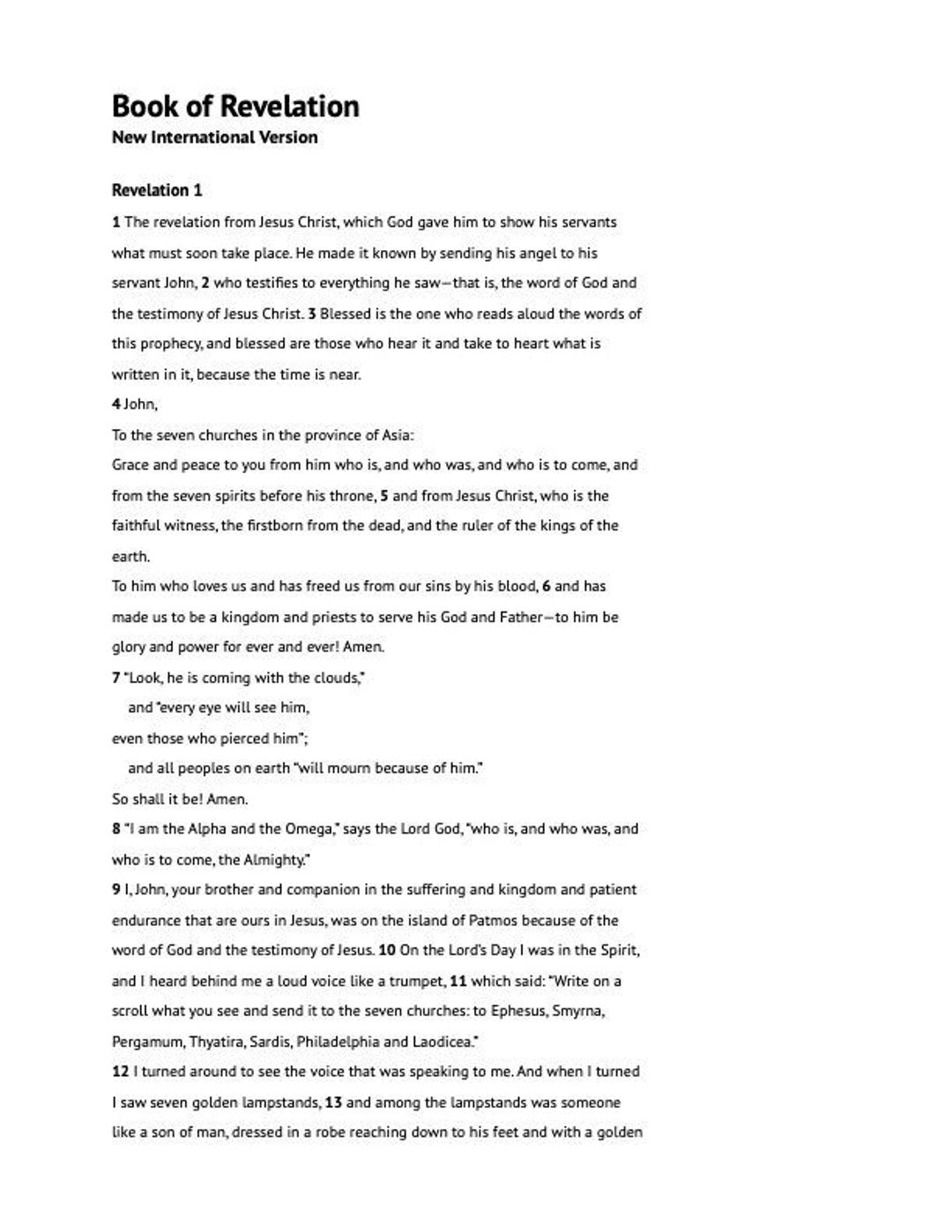 Book of Revelation (NIV) - Etsy