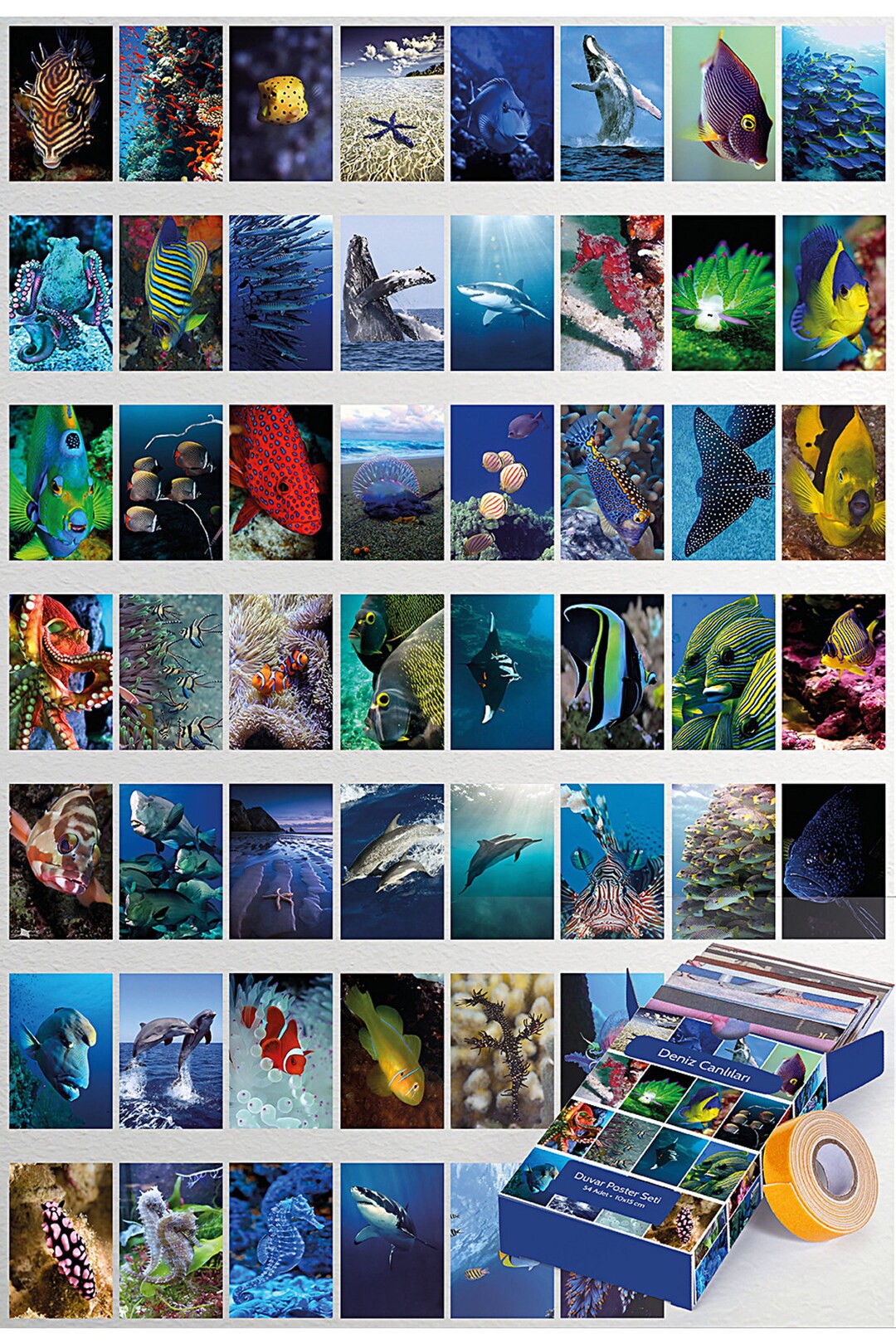 Sea Creatures Themed 54 Piece Piece Wall Poster Collage Set for Room ...