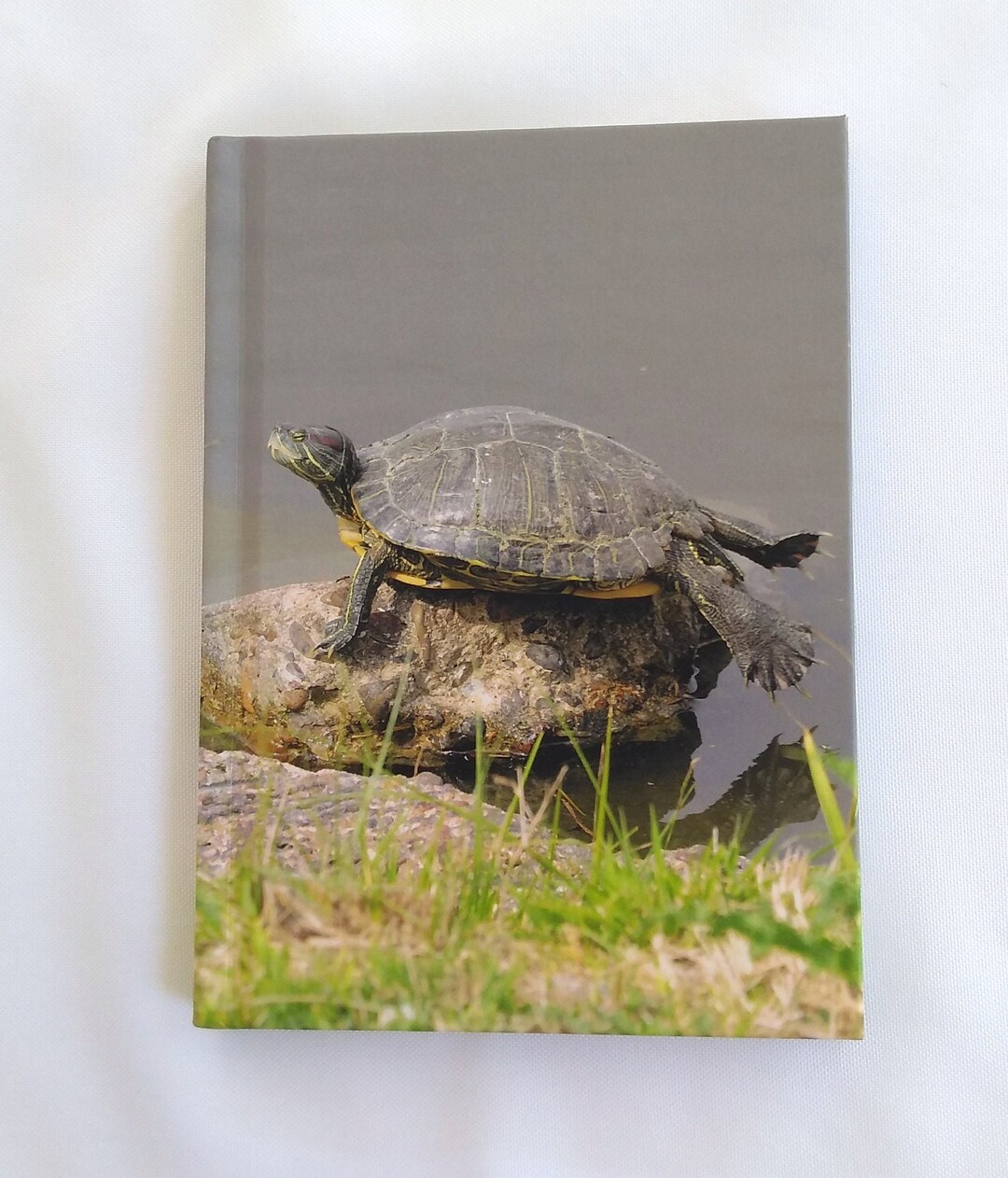 Red-eared Slider Turtle Hardcover Journal 8 " X 5.75 " 150-page ...