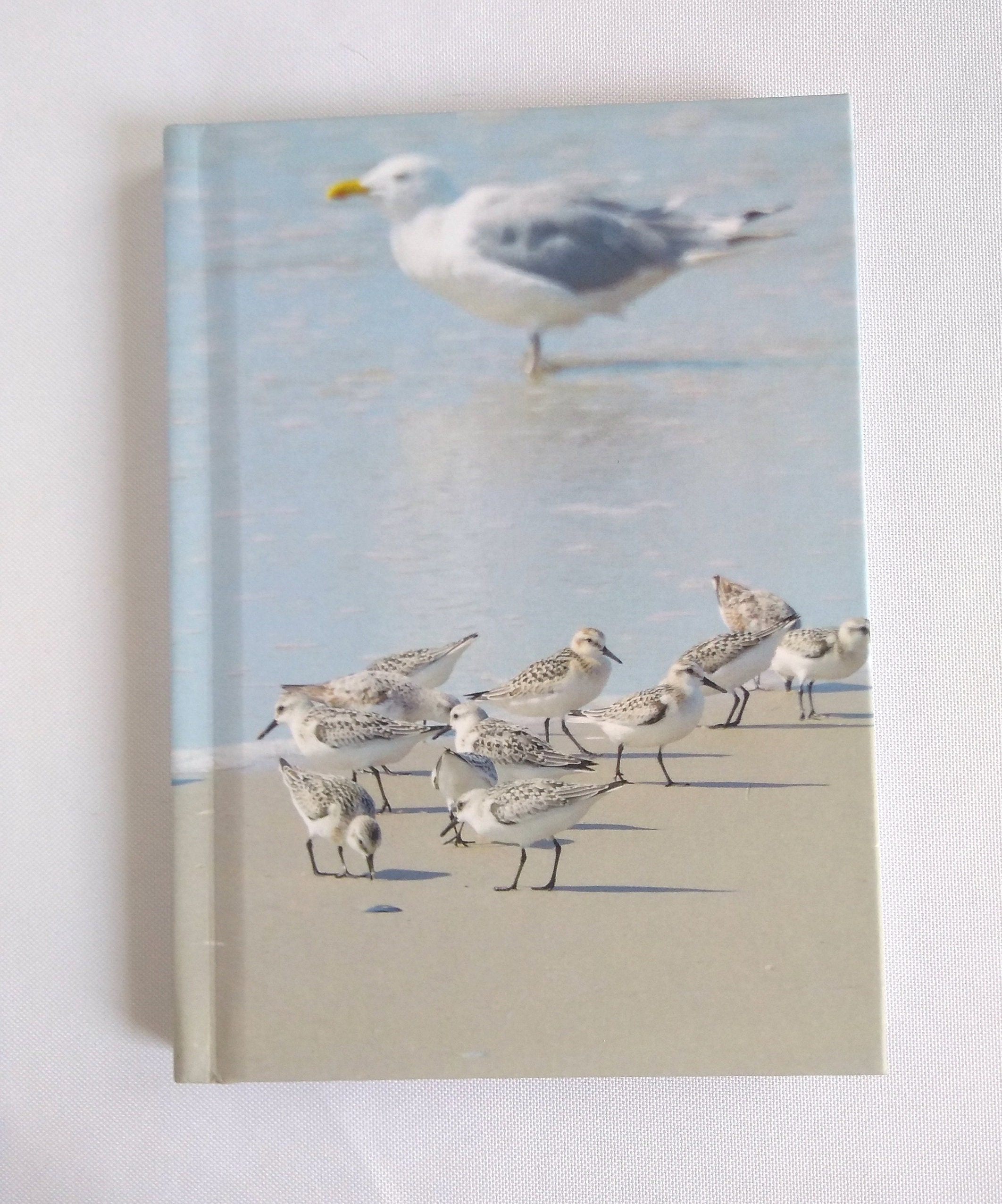 Sanderling Sandpiper Birds at the Beach 5.75" X 8 " 150-page Hardcover ...