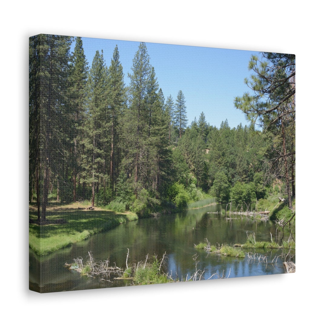 River With Evergreen Trees Photograph on Canvas - Etsy