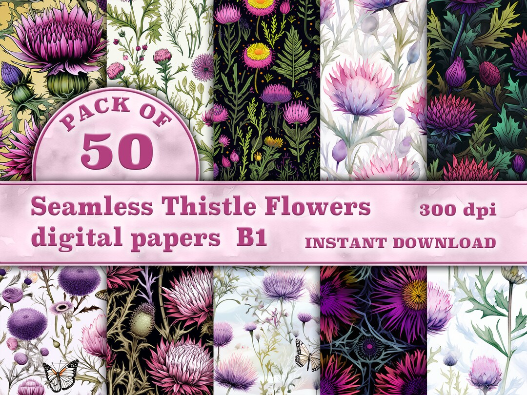 Thistle Flower Digital Paper: Scotland Floral Pattern (PNG, 50 Seamless ...