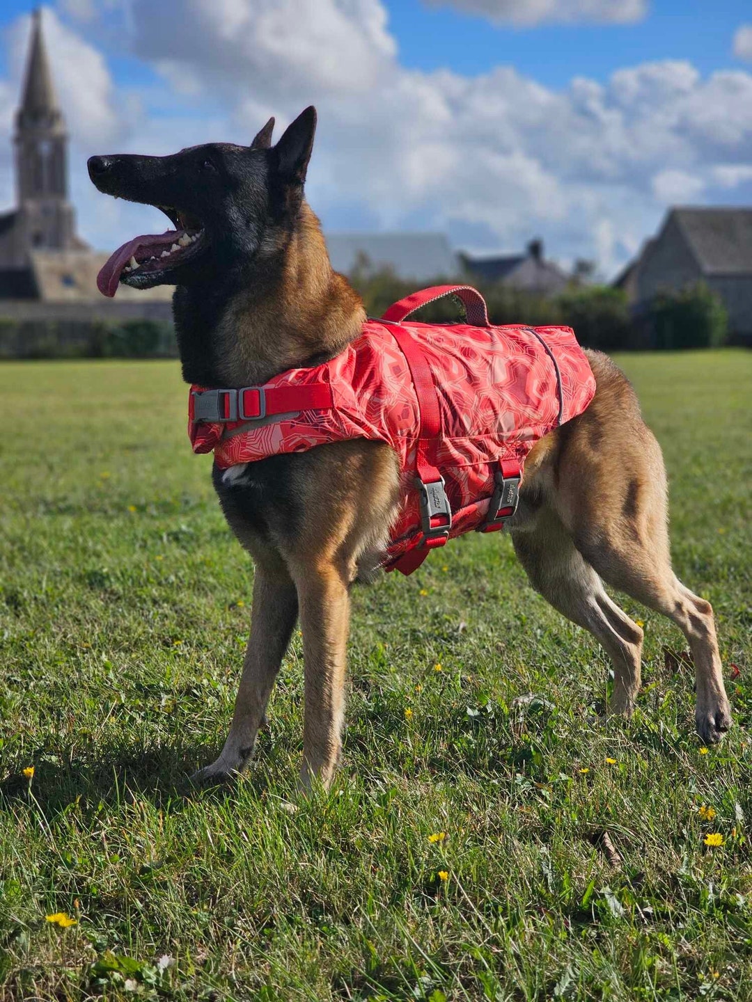 Hurtta LIFE SAVIOR ECO Floating Harness - Etsy