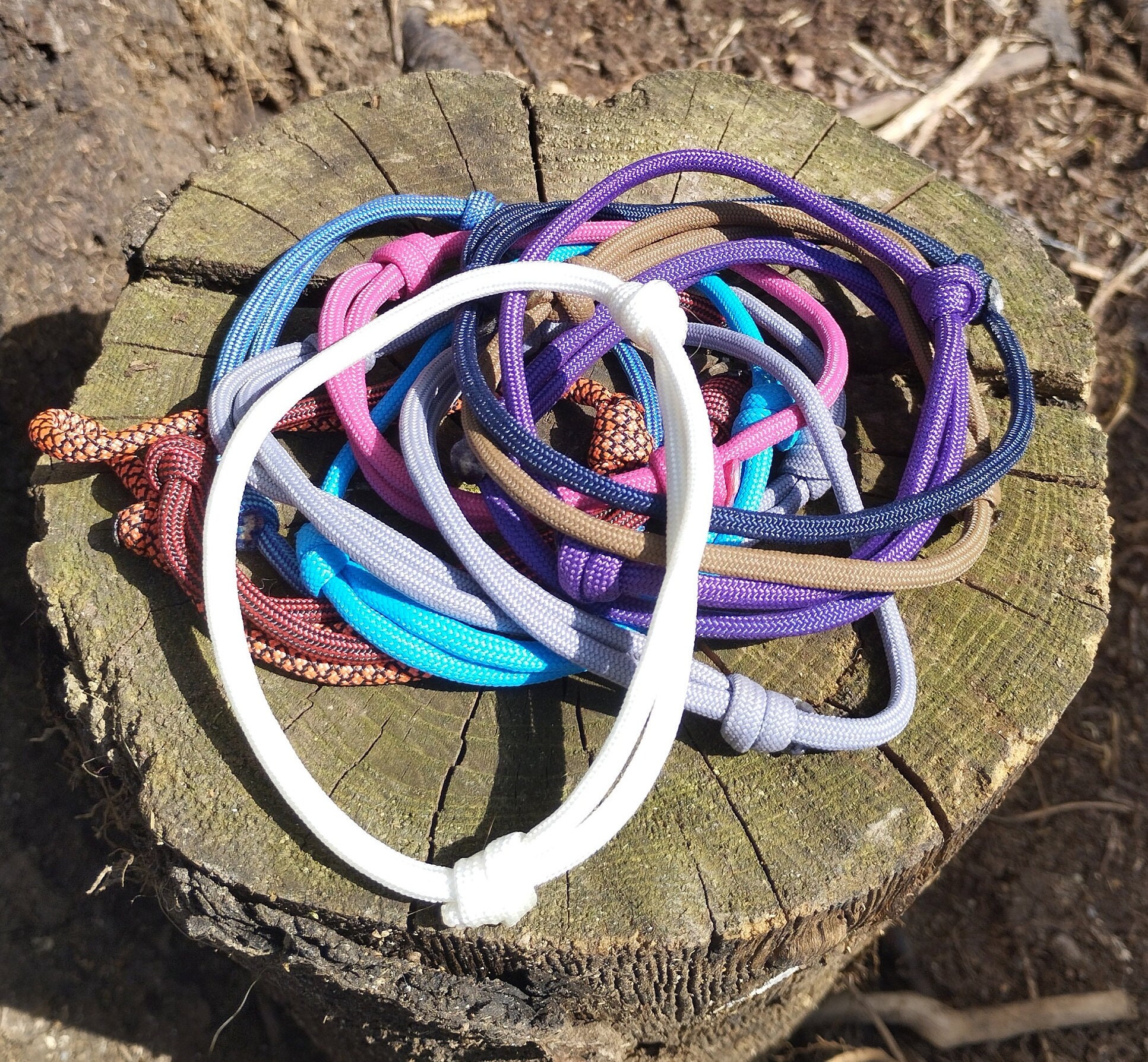 Identification Collar for Puppies and Kittens - Etsy