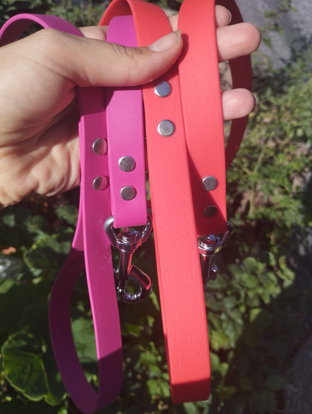 Laisse biothane - Etsy France