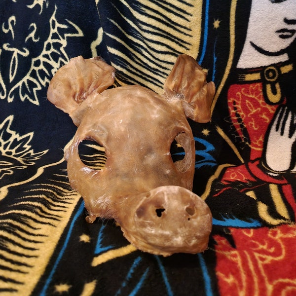 Pig Skin Leather - Etsy