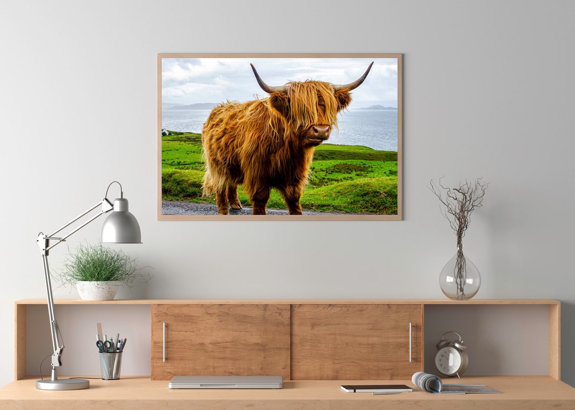 Highland Coo Walking Digital Print - Etsy