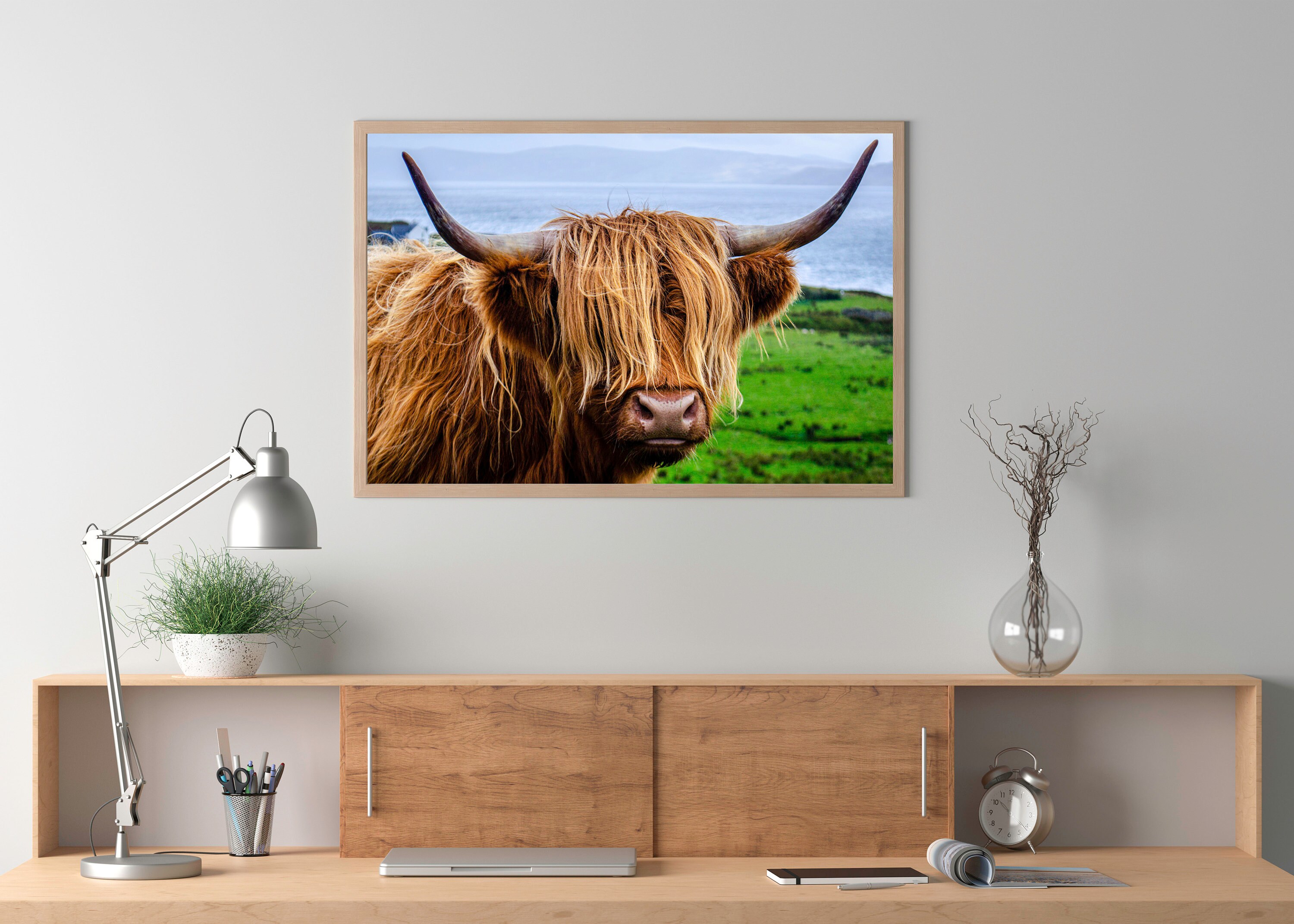 Scottish Highland Coo Photograph -- Digital Download - Etsy