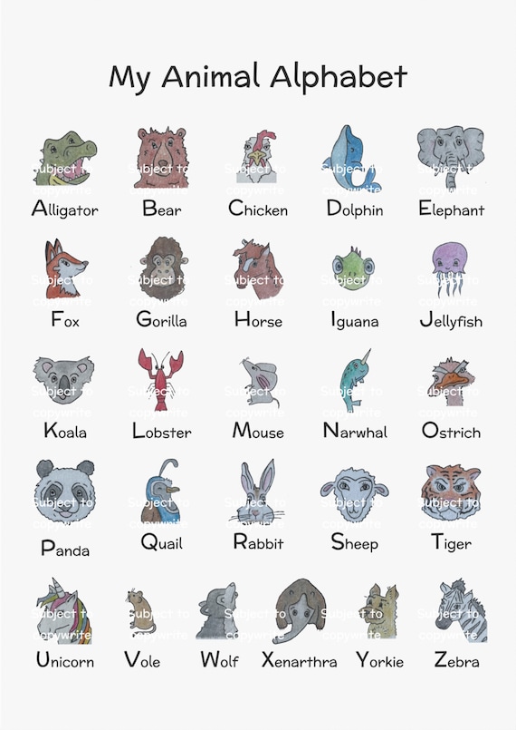 Animals That Begin With Every Letter Of The Alphabet