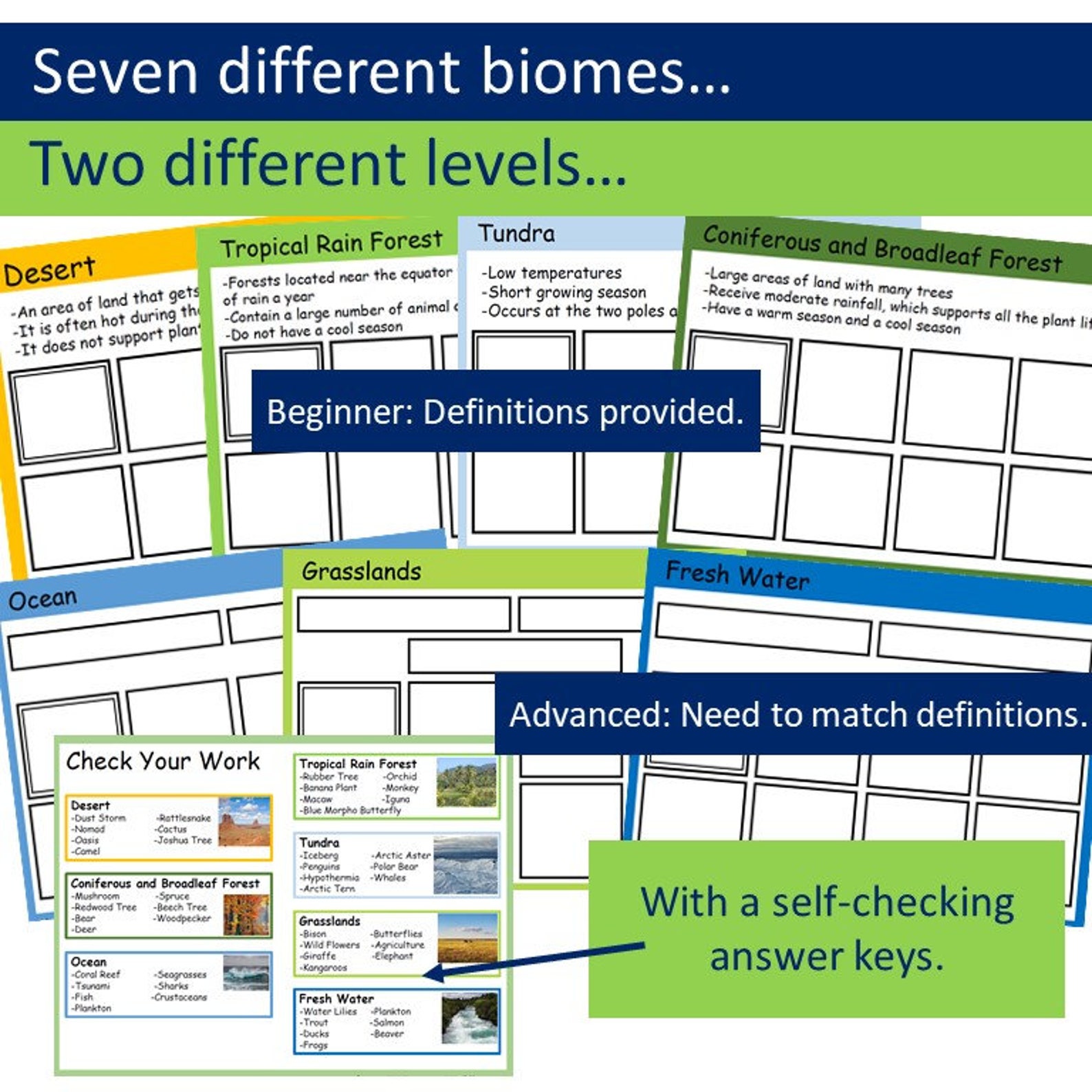 Biome Sorting Mats - Etsy