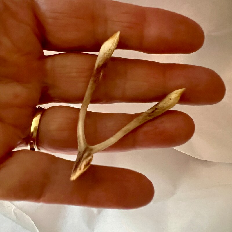 Real Wishbone - Etsy