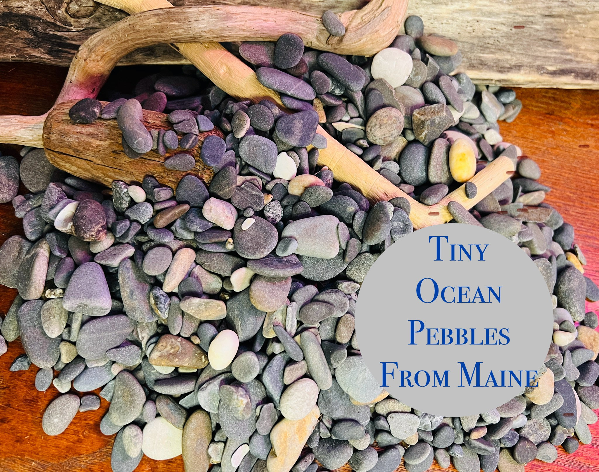 Tiny Ocean Pebbles From Maine Beach Rocks Pebble Art Mosaic Stones - Etsy
