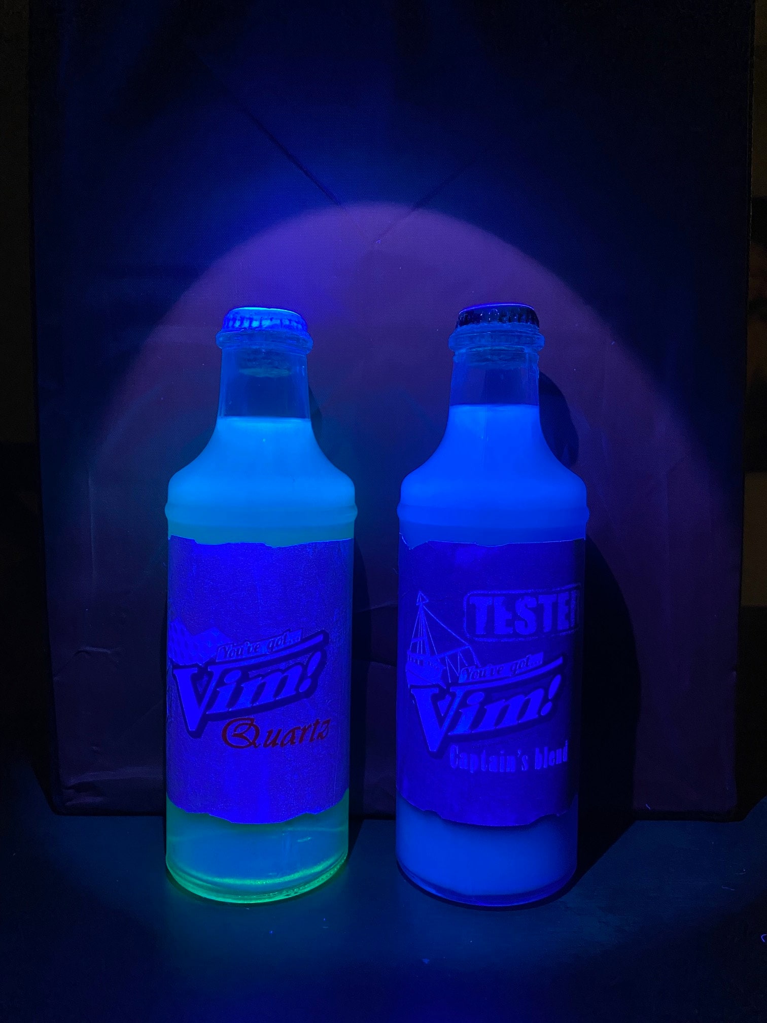 You've Got Vim Fallout unofficial - Etsy
