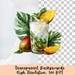 Tropical Drink Clipart | Summer Cocktail PNG Set | Watercolor Fruit ...