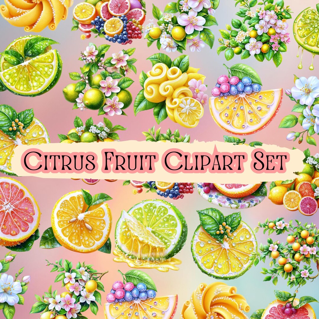 Citrus Fruit Clipart Set | 20 PNG Elements | Lemon, Orange, Lime ...