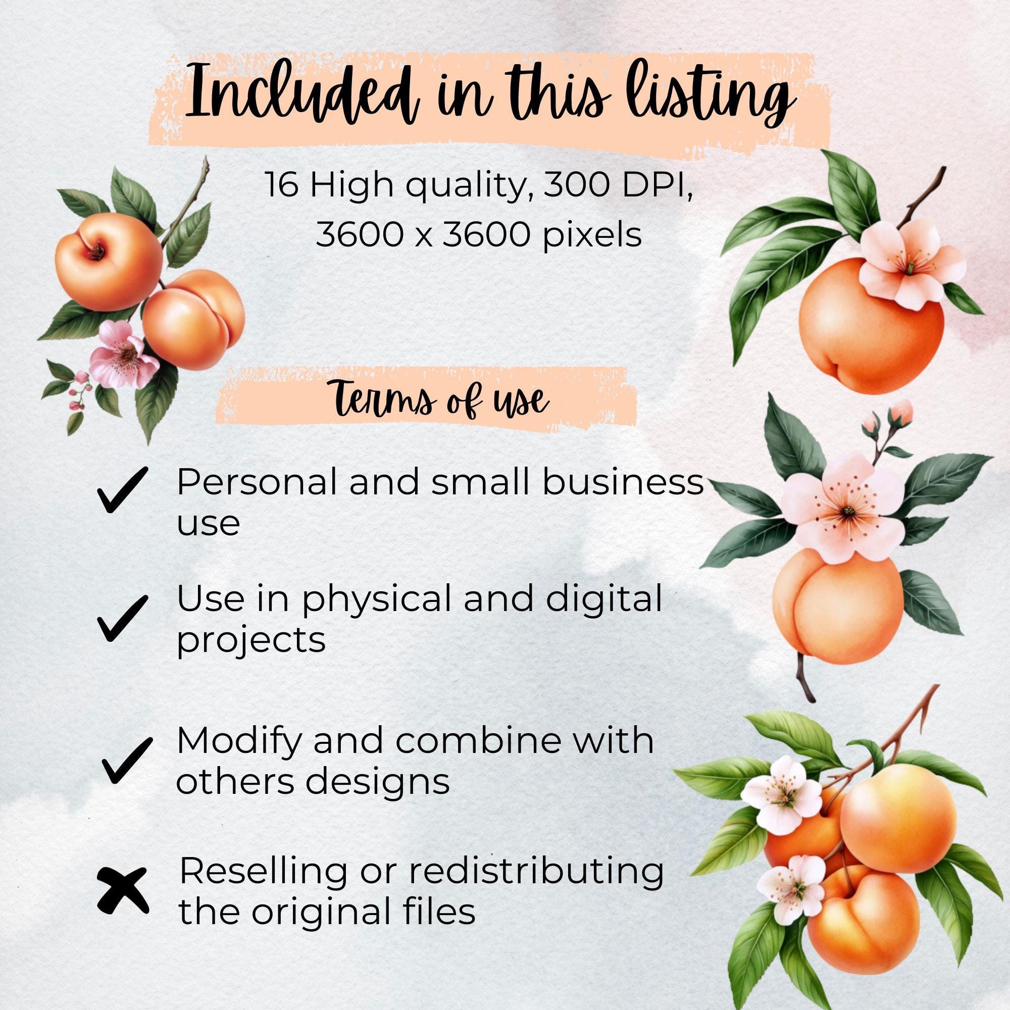 Peach Fruit and Blossom Clipart Set | Watercolor Peaches With Leaves ...