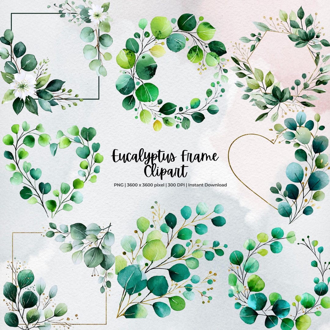 Eucalyptus Frame Clipart | 28 Green Watercolor Wreaths & Shapes PNG ...