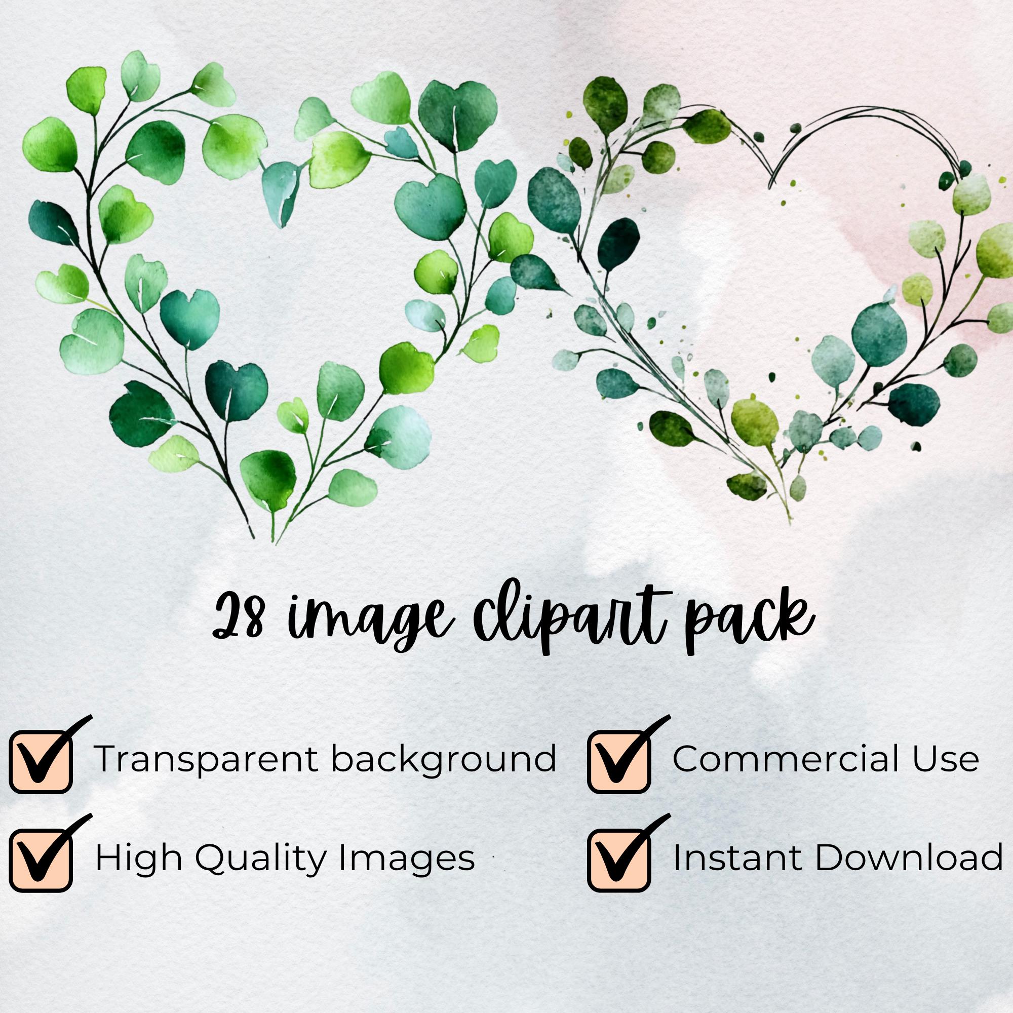 Eucalyptus Frame Clipart | 28 Green Watercolor Wreaths & Shapes PNG ...