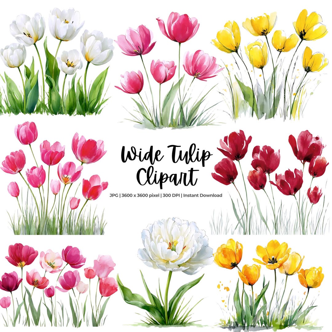 Wide Tulip Clipart | Watercolor Spring Flowers JPG | Botanical Floral ...