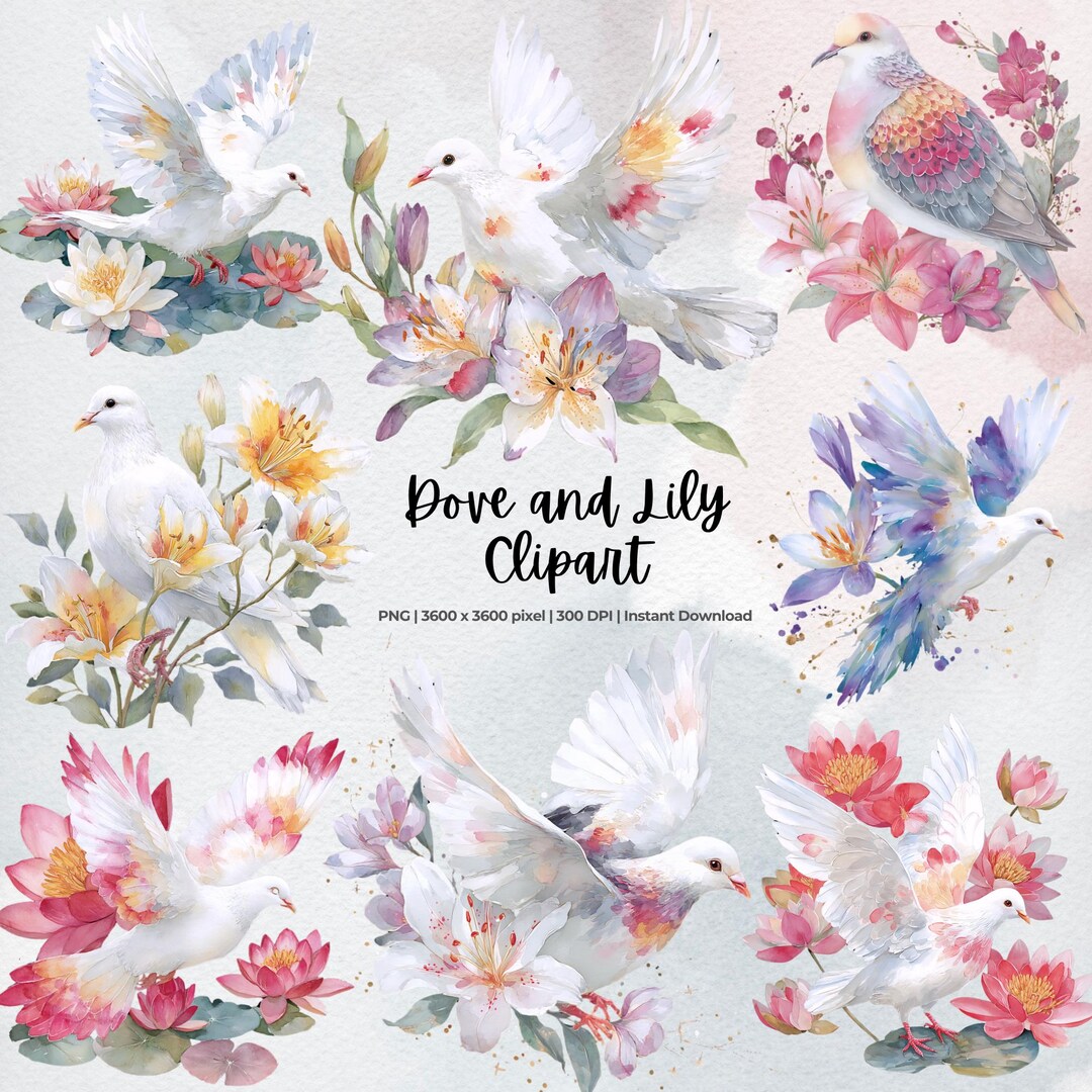 Dove and Lily Clipart | Peace Dove Clip Art | White Dove Watercolor ...