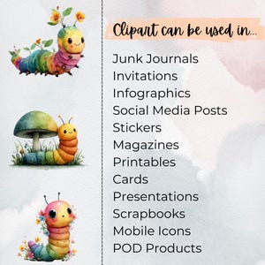 Rainbow Caterpillar Clipart | Whimsical Bug PNG Set | Cute Insect ...