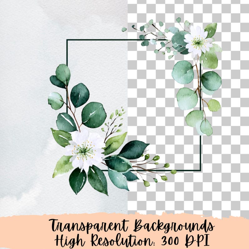 Eucalyptus Frame Clipart | 28 Green Watercolor Wreaths & Shapes PNG ...