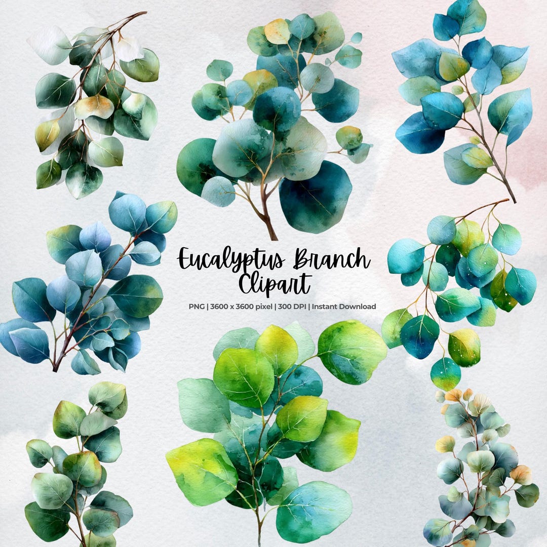 Eucalyptus Branch Clipart | Watercolor Greenery PNG | Minimal Botanical ...