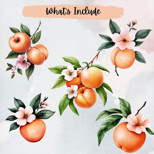 Peach Fruit and Blossom Clipart Set | Watercolor Peaches With Leaves ...