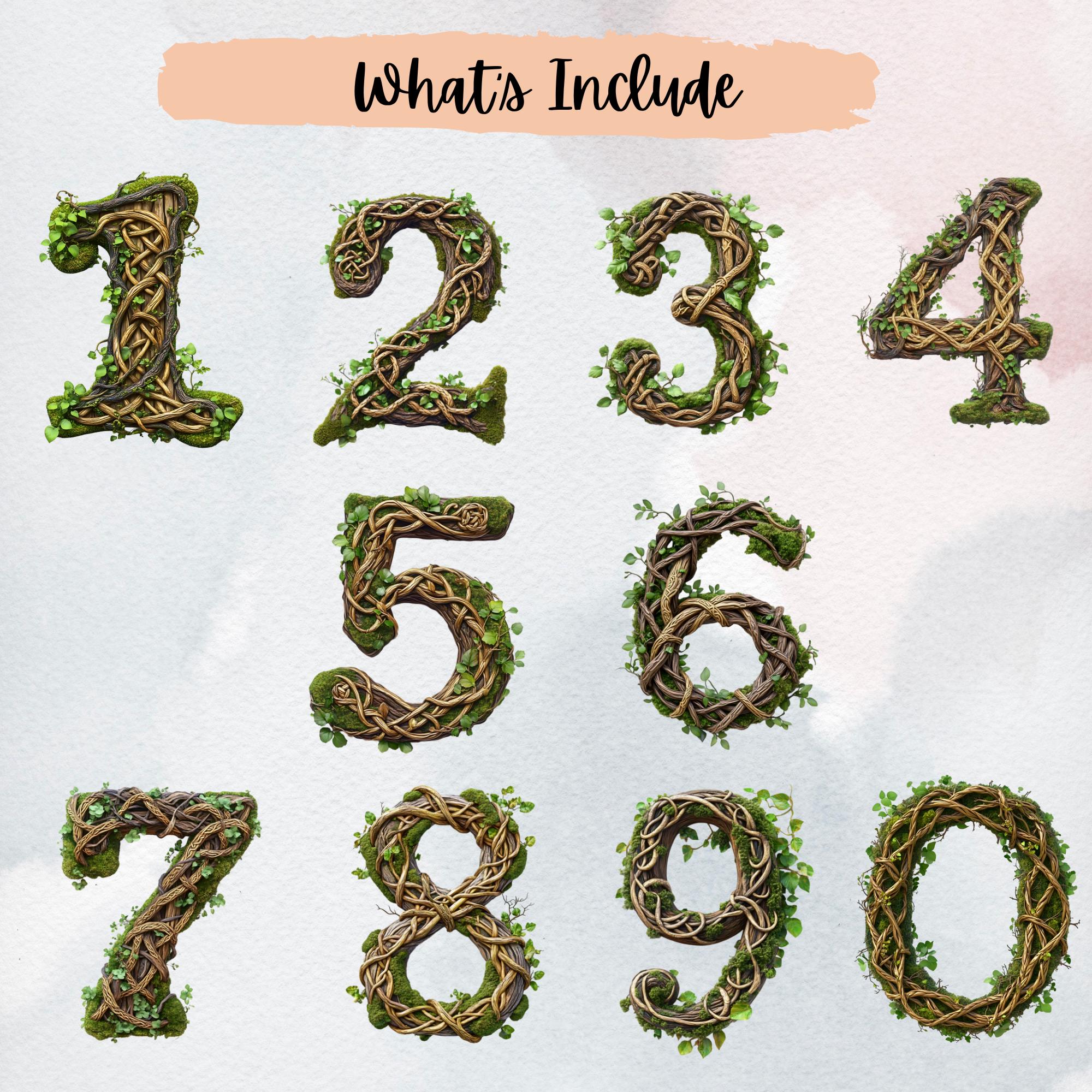 Vine Letters Clipart | A-Z & 0–9 Alphabet PNG | Twisted Botanical Font ...