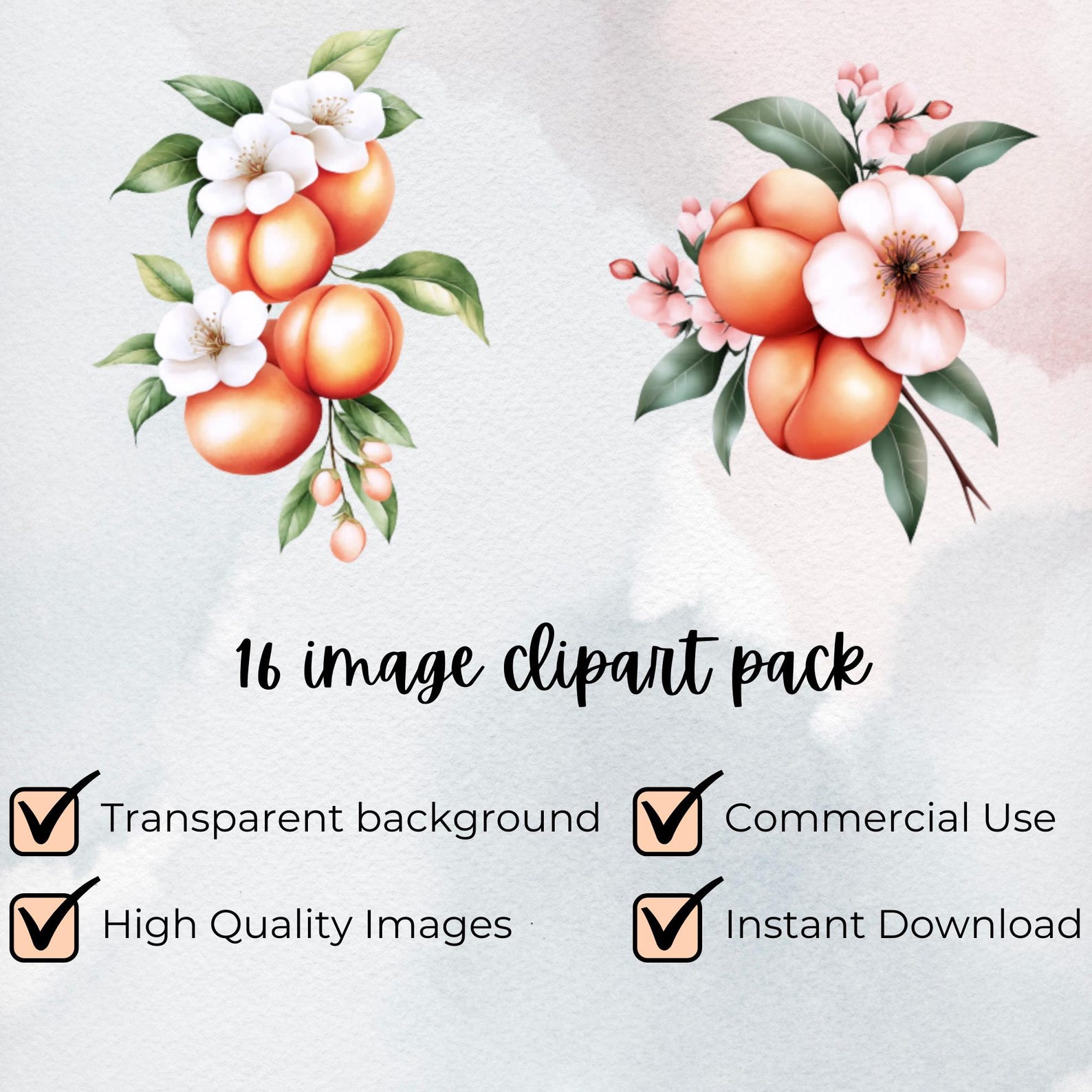 Peach Fruit and Blossom Clipart Set | Watercolor Peaches With Leaves ...