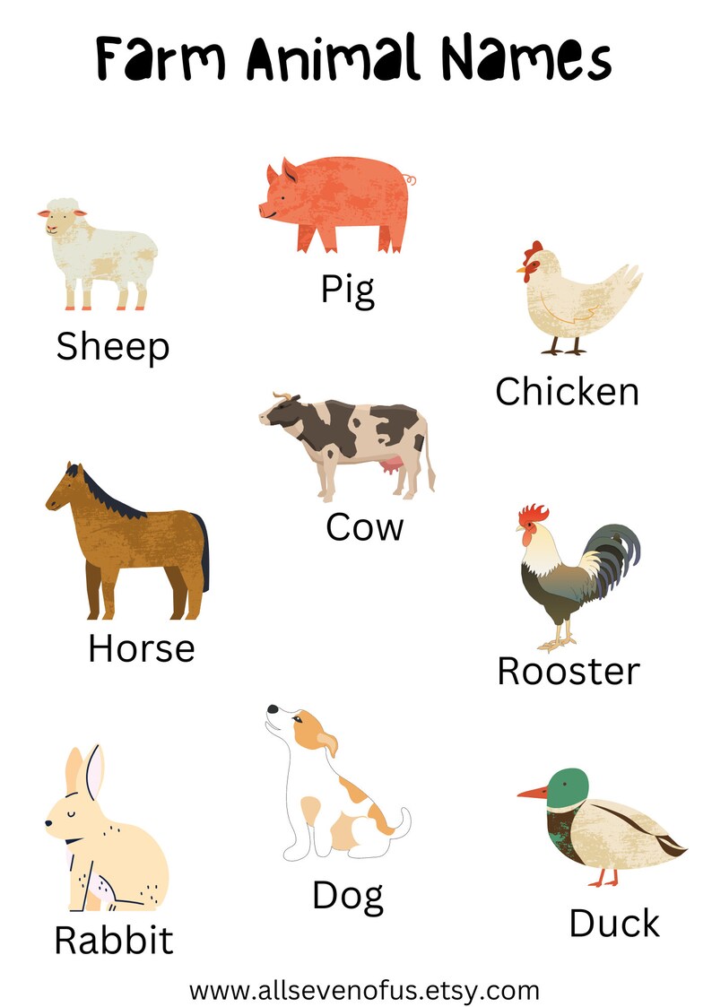Farm Animal Worksheets - Etsy