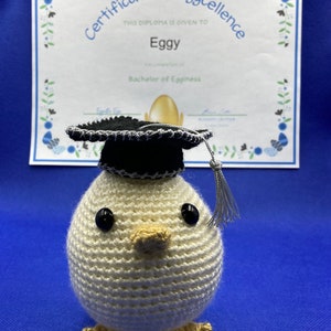 Graduate Eggy - Crochet Pattern - Etsy