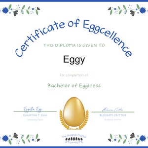 Graduate Eggy - Crochet Pattern - Etsy
