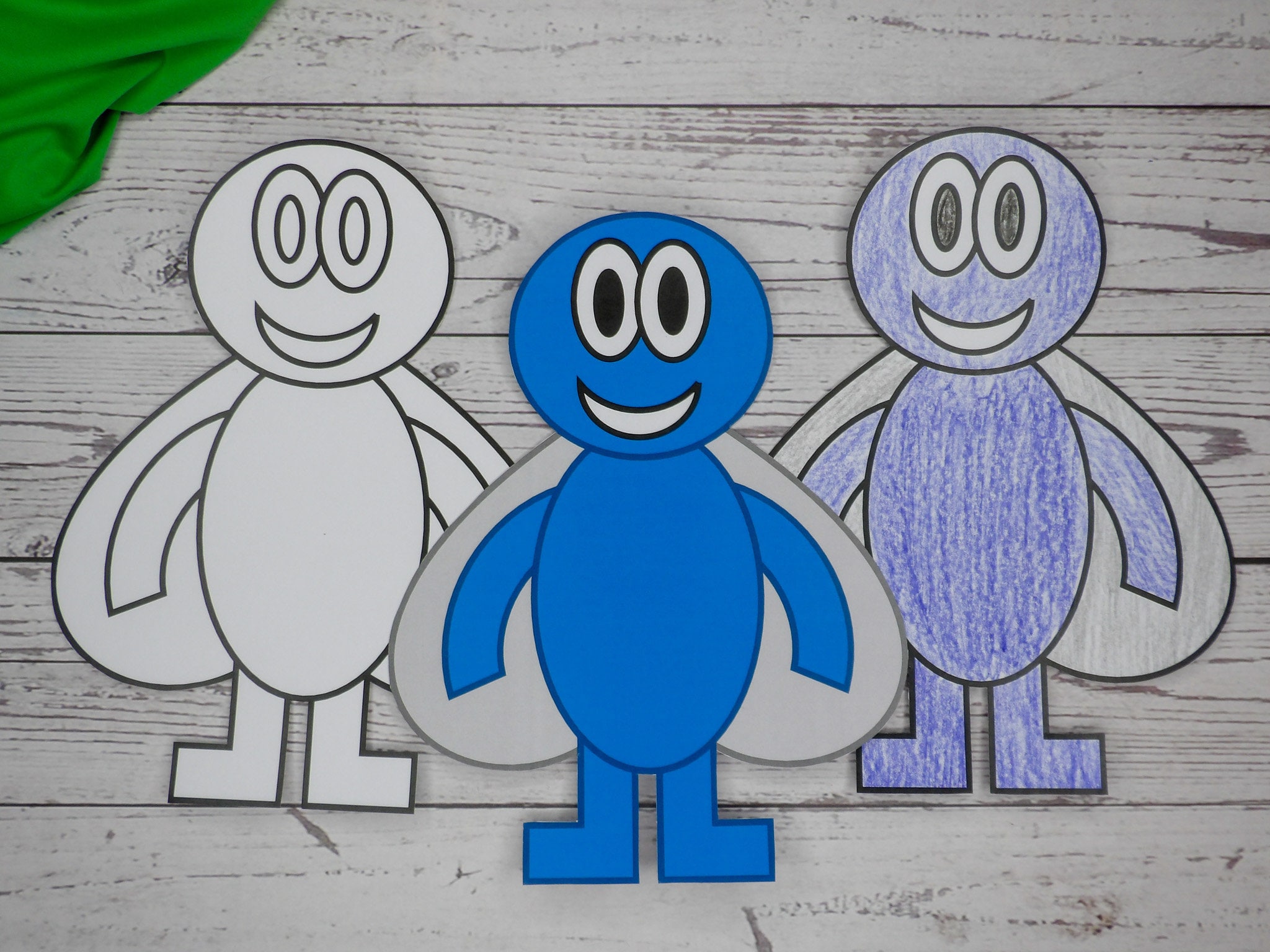 Fly Craft Template for Preschool, Kindergarten, Elementary or ...