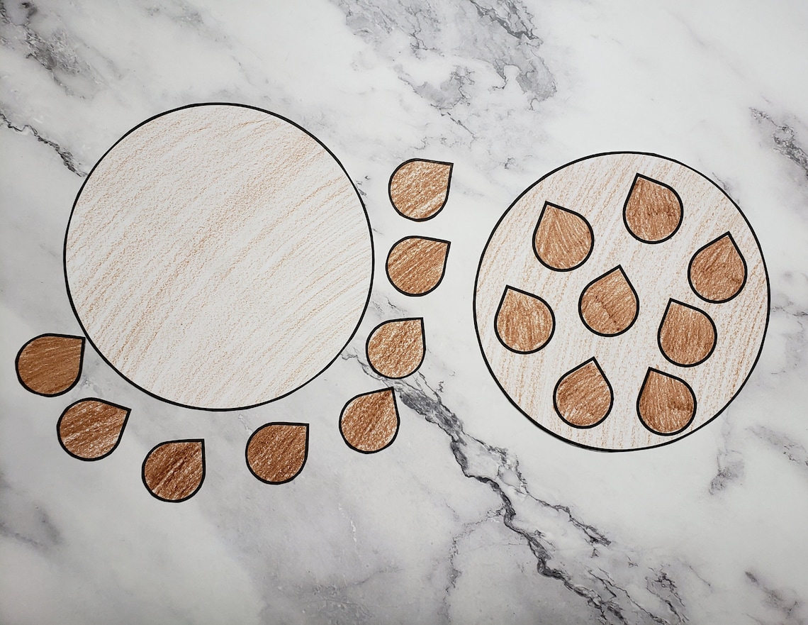 Chocolate Chip Cookie Craft Template for Kids, Preschool, Kindergarten ...