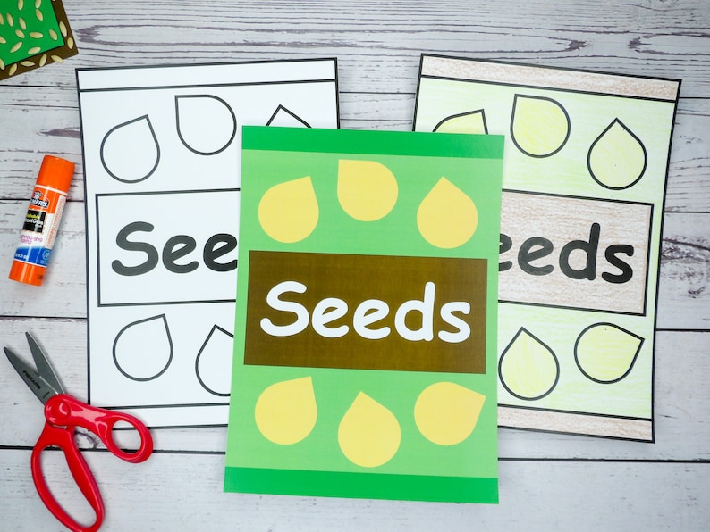 Seed Packet Craft Template: Kids Cut & Glue Activity (PDF) - Etsy Canada