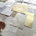 Mulberry Paper Scrap Pack (100 Pieces) - Golden Harvest - Etsy
