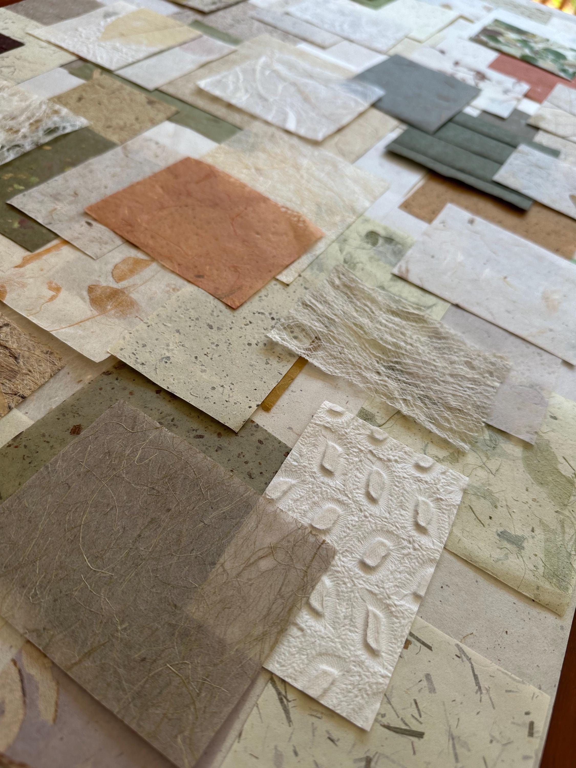Mulberry Paper Scrap Pack (100 Pieces) - Garden Grove - Etsy