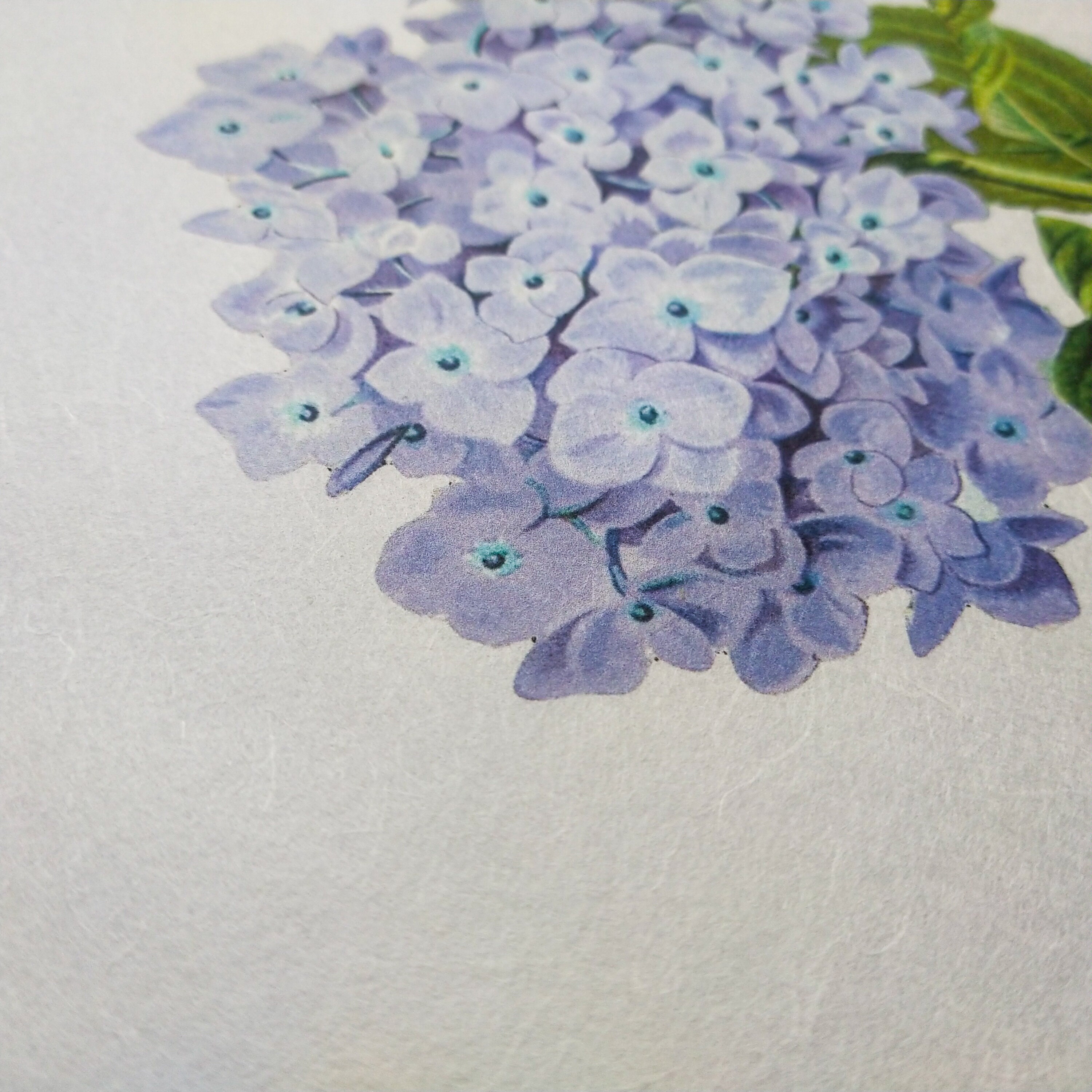 A4 Decoupage Unryu Kozo Washi Paper (40 Sheets, 30 Gsm) | Mulberry ...