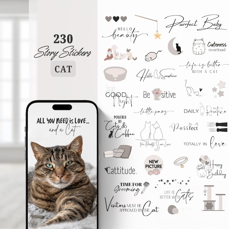Gato stickers - Etsy México