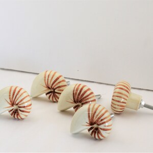 Nautilus Seashell Knob, Coastal Bathroom Drawer Pull, Sea Shell Furniture Knob, Beach House ...