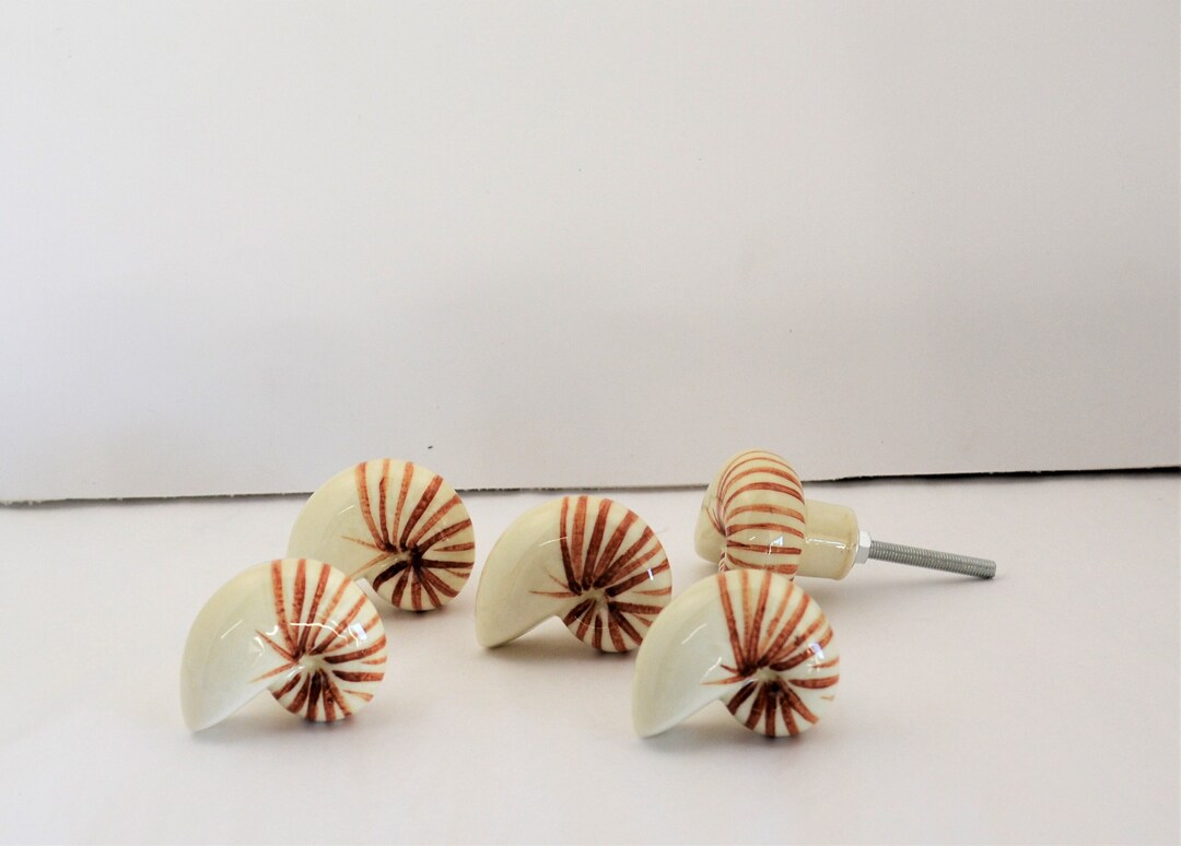 Nautilus Seashell Knob, Coastal Bathroom Drawer Pull, Sea Shell ...