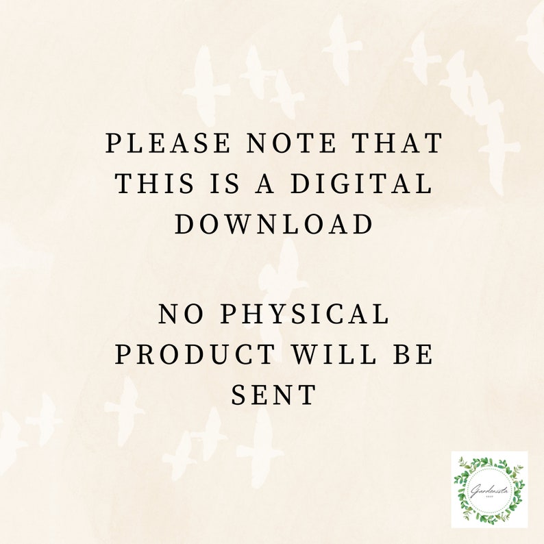 Funny Classroom Rules Posters: Elementary School Decor (digital ...